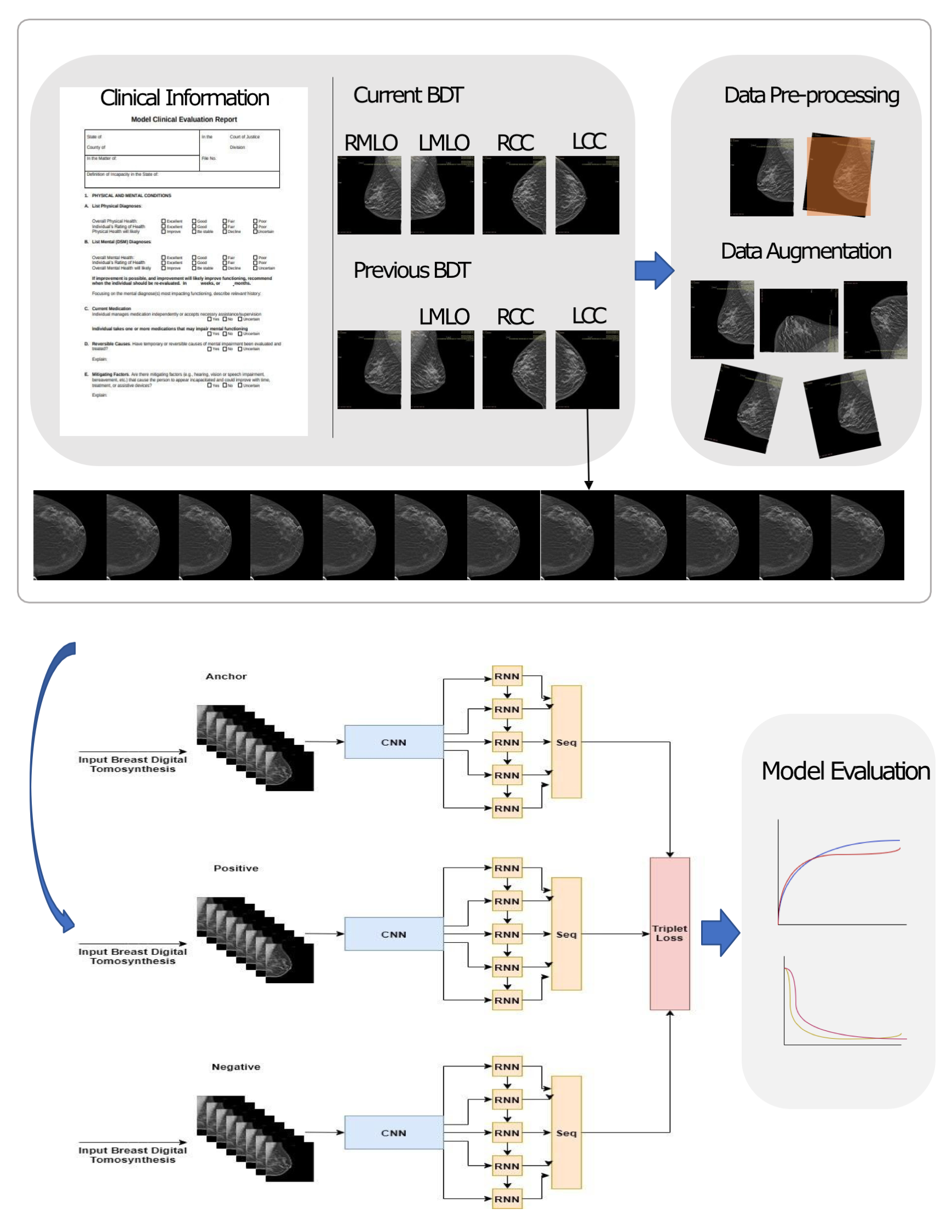 Research | Sheida Nabavi