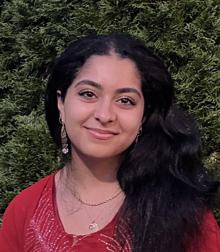 Team | Sheida Nabavi